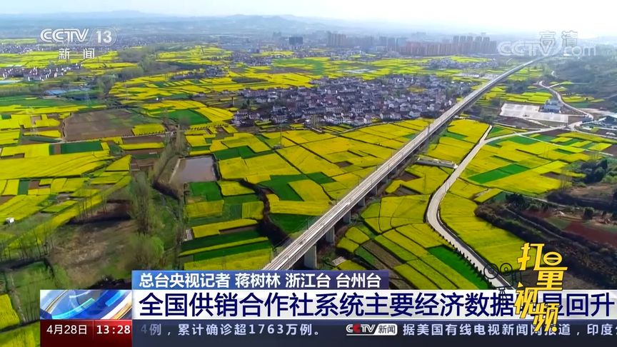 全国供销合作社系统主要经济数据明显回升,经济运行复苏态势上扬