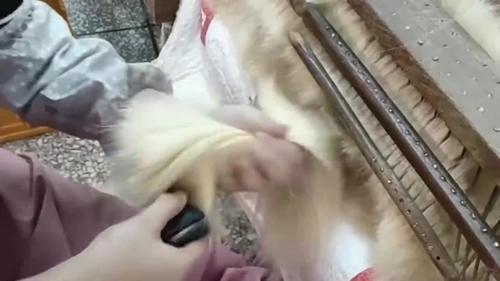 大号毛笔的做法,还是第一次见,长见识了