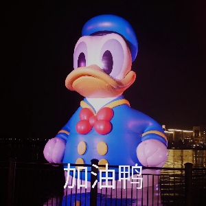人工智能Ding 