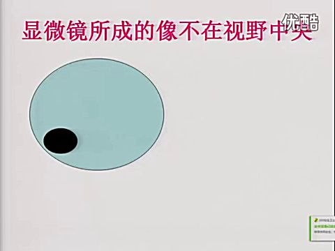 七年级生物上册显微镜的应用-倪喆