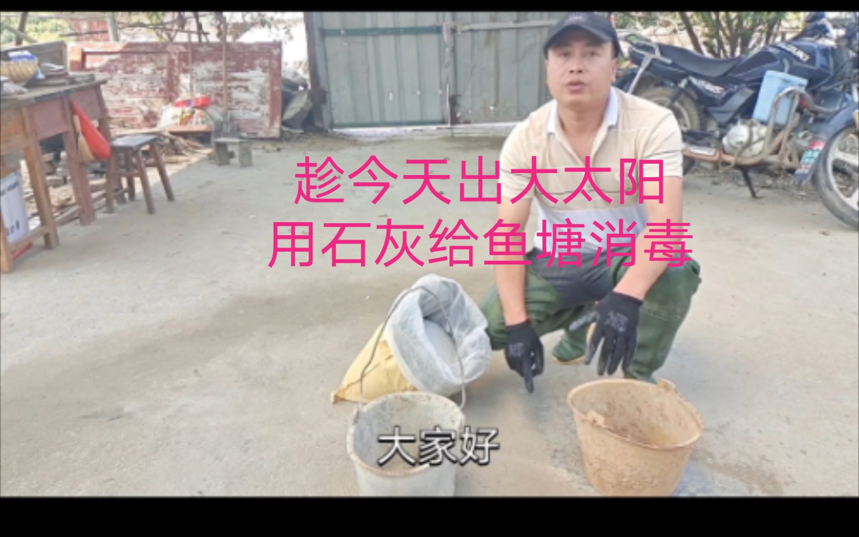 趁今天出大太阳,准备用石灰给鱼塘消毒