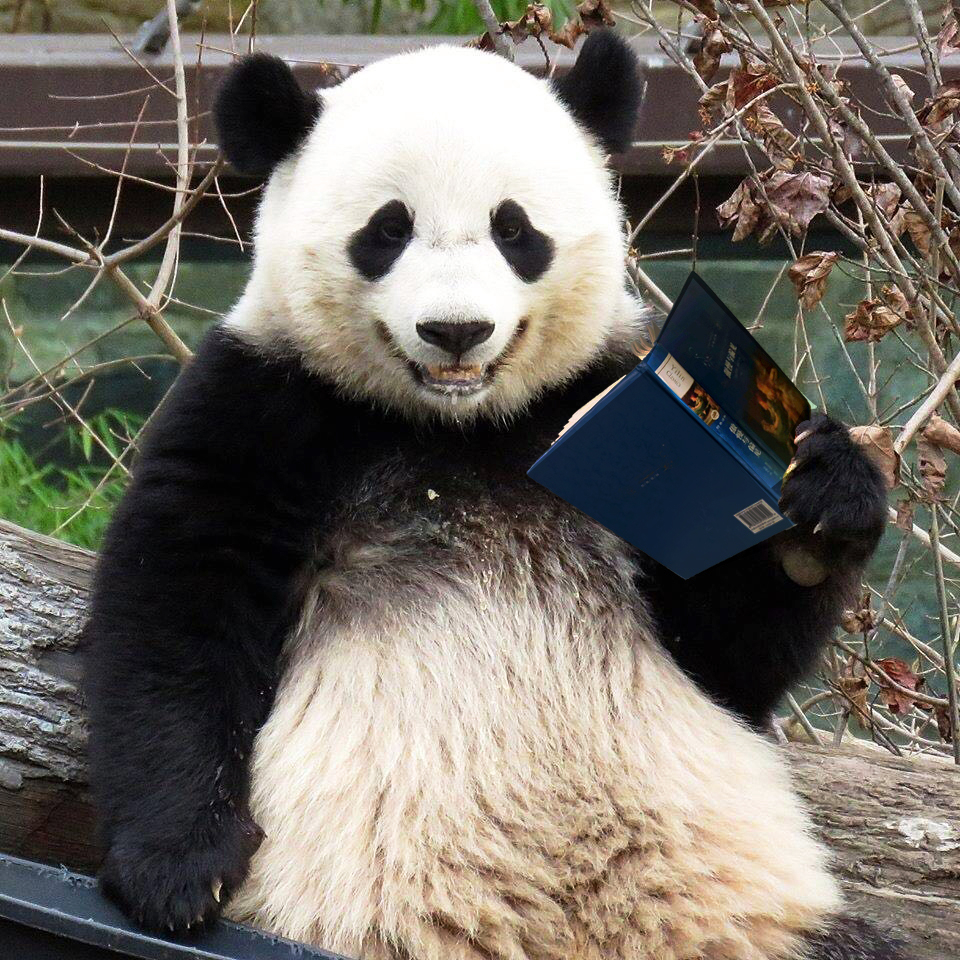 贾主子 