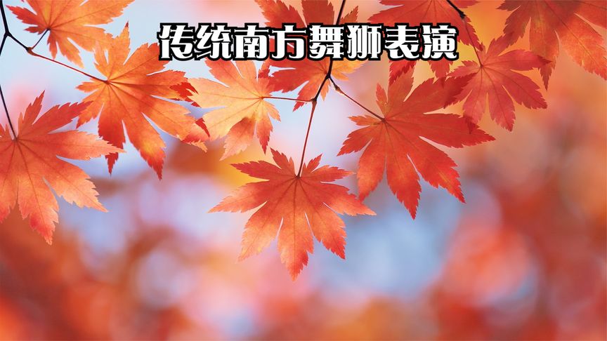 传统南方舞狮表演