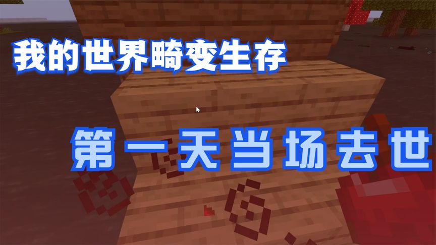 我的世界畸变生存:第1天当场去世