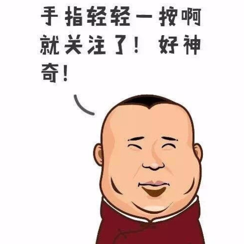 汀小小白 