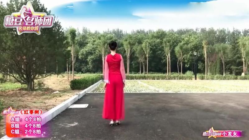 小龙女原创古典柔美形体舞《红枣树》正背面附分解