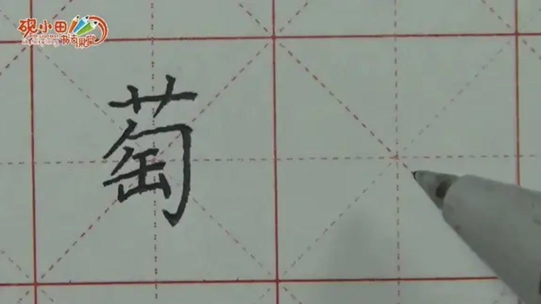 王洪涛老师讲解【萄】字书写! #练字#硬笔书法#书法教学#写字