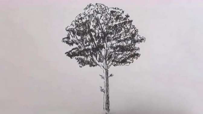 风景速写简单:教你画好看的大树,树木速写手绘入门教程