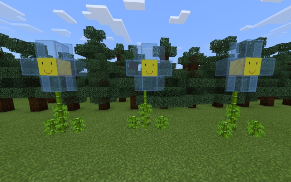 一个普通的mc视频,没有什么特别之处