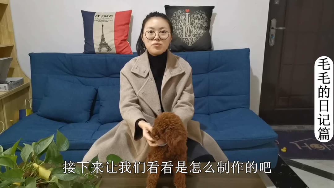 旧衣服变废为宝,5分钟自制狗狗玩具,狗狗超级喜欢