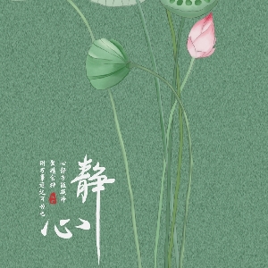 淡定314 