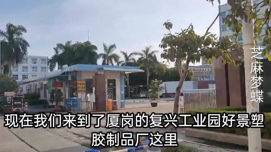 实拍东莞这家有名的塑胶厂 ,很多人来.