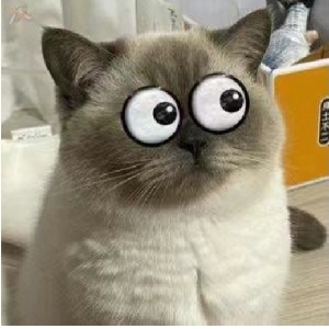 桃李不言ovo