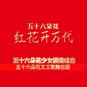 五十六朵花少女组合 