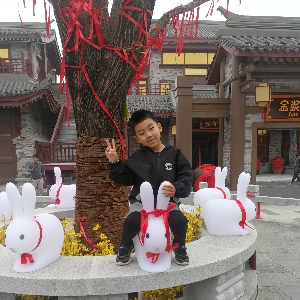 小胖老师凤凰社 