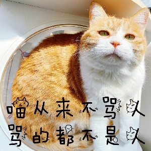 朕是只猫-喵嗷 