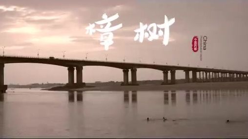 樟树市怀旧宣传片