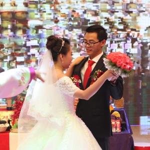 小市民塔特一家的vlog 