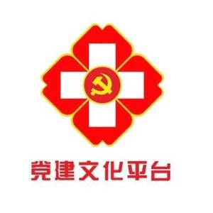 卫生健康党建文化平台 