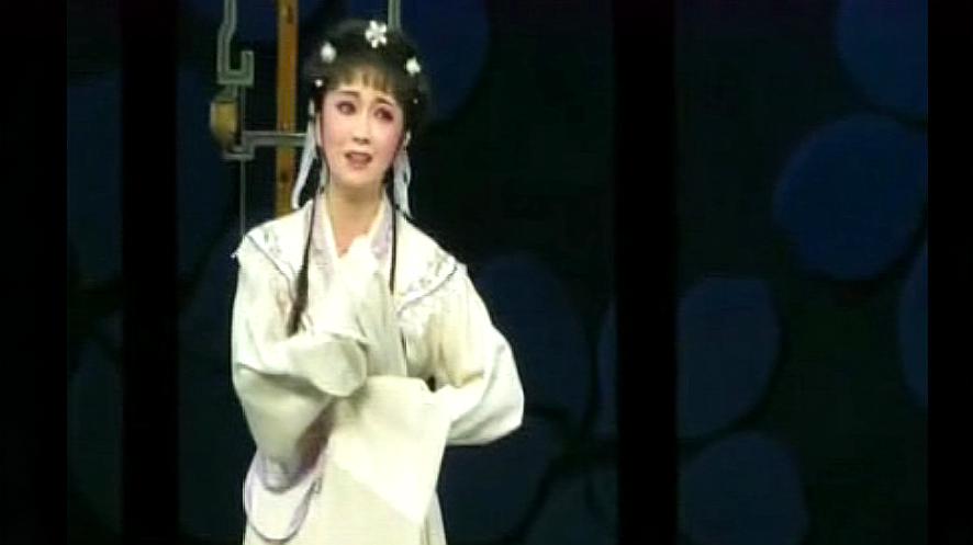 钱惠丽,张永梅演唱,《红楼梦·哭灵》片段,味道十足!