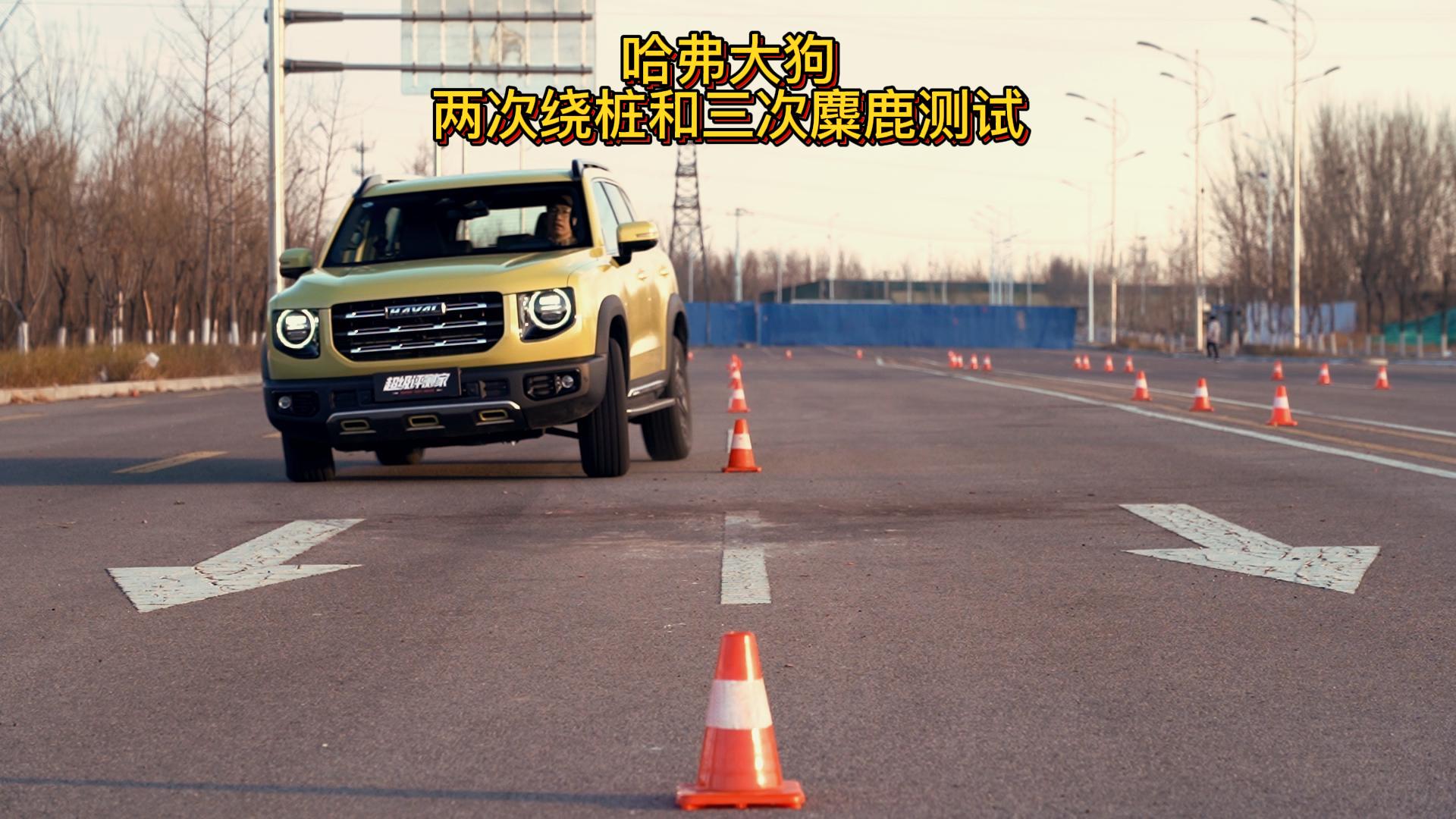 哈弗大狗绕桩和麋鹿测试