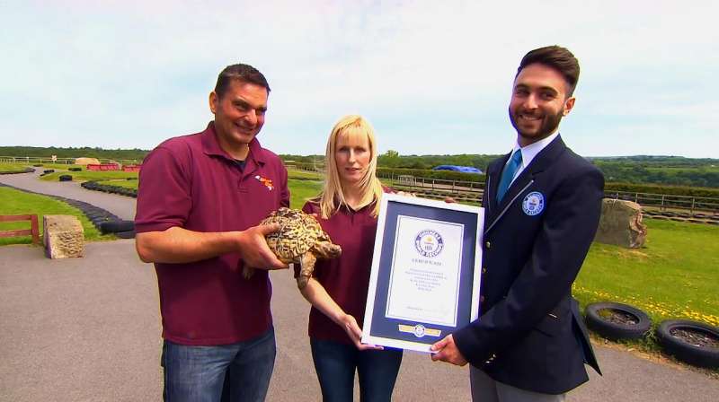 全球爬行最快的乌龟,创造了吉尼斯纪录,被称为“龟界博尔特”!