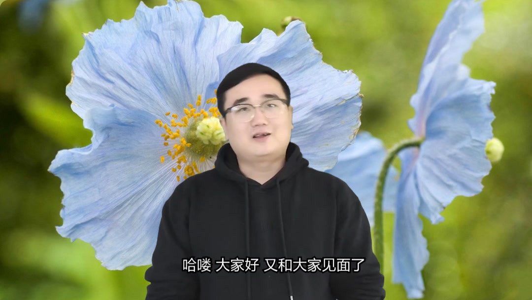 申请商标,图案申请商标说明怎么填写,企业如何申请商标