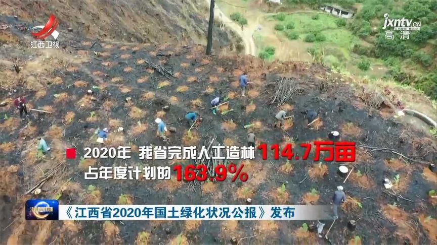 《江西省2020年国土绿化状况公报》发布