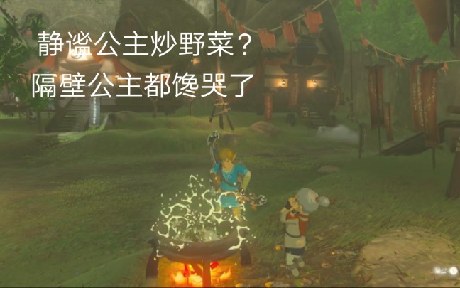 【塞尔达传说】五个静谧公主/人马心脏能煮出啥料理? 测试下各种奇葩...
