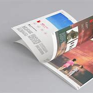 躺平在历史的河流中 