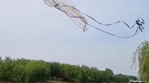 公园偶遇撒渔网高手,动作一气呵成潇洒帅气,没有五年经验都完不成