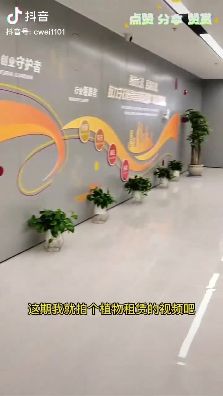 武汉园林绿化施工