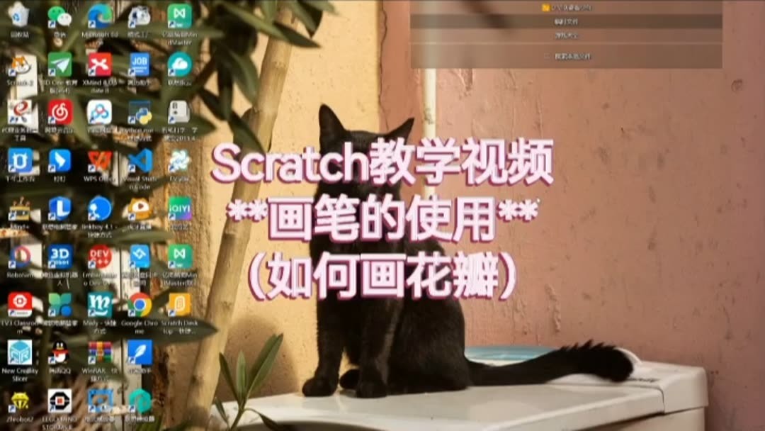 scratch教学视频-画笔-如何画花瓣