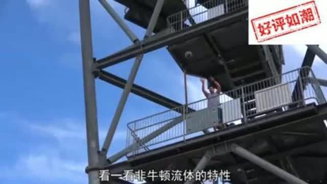 牛顿二项展开式