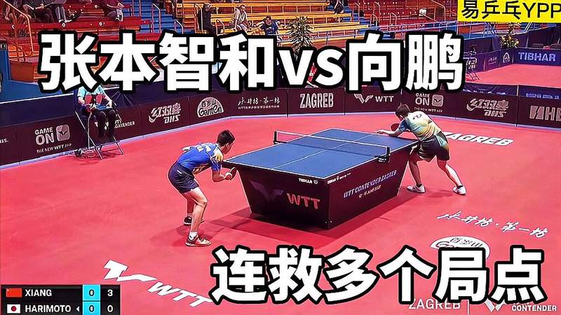 张本智和vs向鹏,日本一哥来势汹汹,WTT新加坡大满贯赛将再战