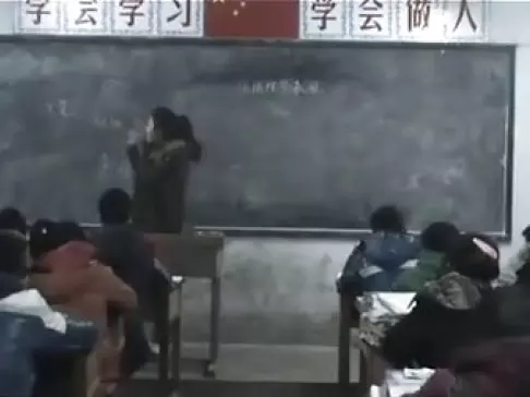 宁晋 美术 杨琢 七年级 用线条表现