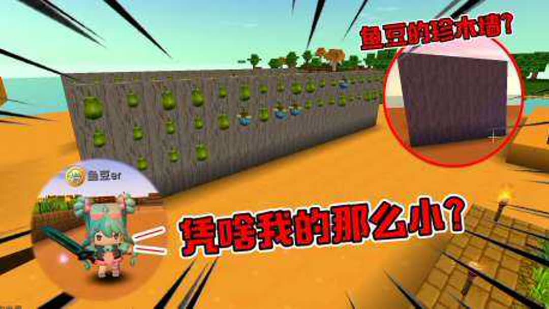 迷你世界沙漠计划35:鱼豆的珍木墙太迷你!糖豆又被一顿毒打?