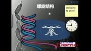photoshop23零基础教程 螺旋结构·相互覆盖·遮盖·环