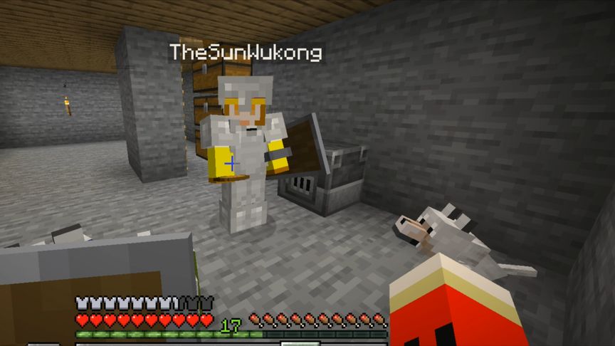 我的世界：养狗大户给狗起名字 颠覆了家有儿女的关系圈