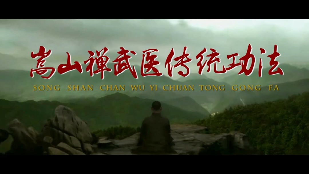 嵩山禅武医传统功法