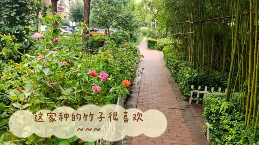 洋房一楼带小院,看邻居如何美化自家门前的?蔬菜水果花卉～