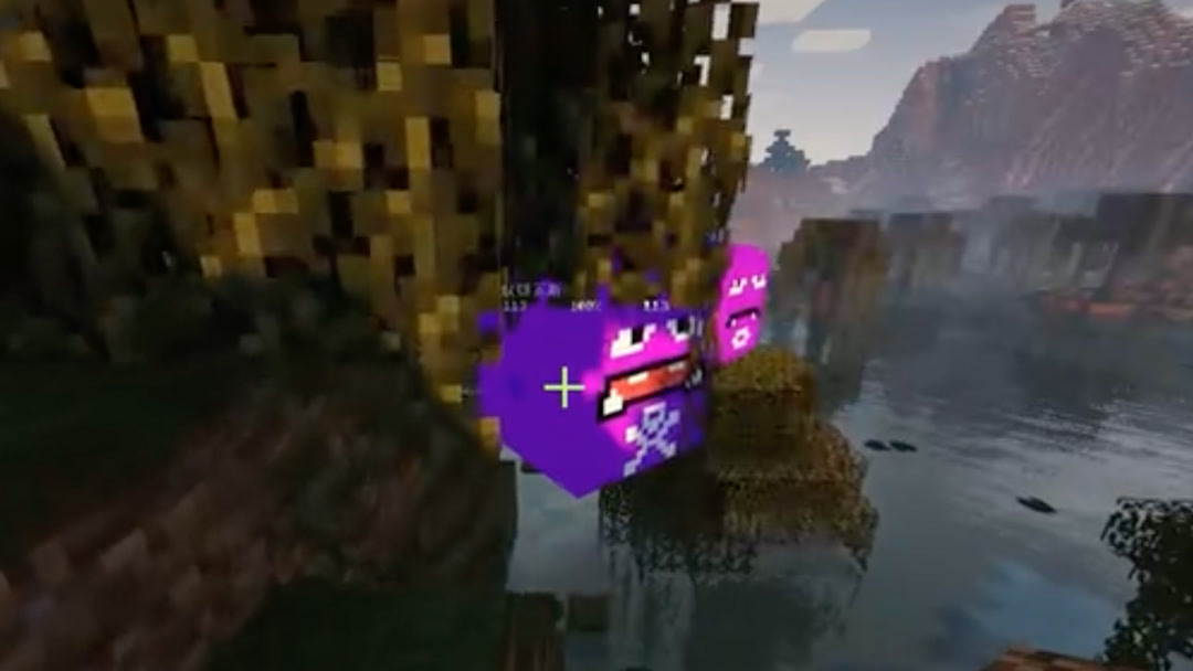 【大白】MC我的世界神奇宝贝EP2寻找精灵中心