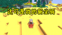 迷你世界60:今天的王木薯骑着鸡来了!