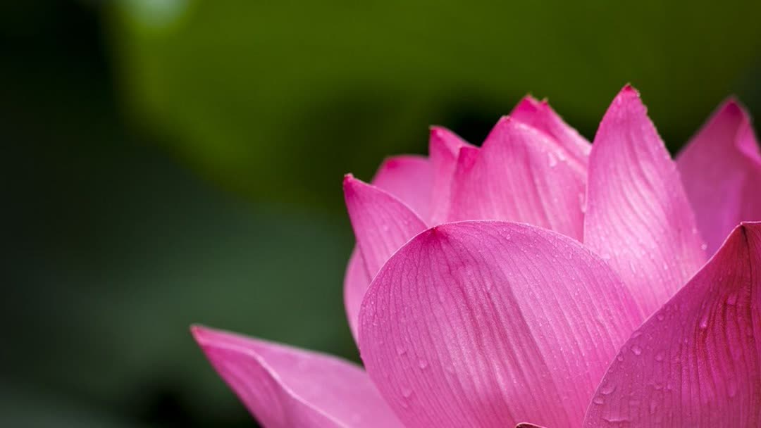 瑜伽仰卧放松休息术30分钟版安定心灵缓解失眠