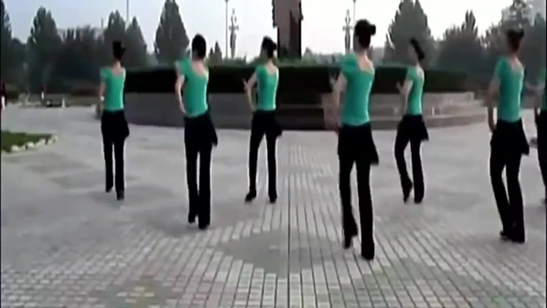 广场舞视频大全 凤凰传奇广场舞16步分解动作