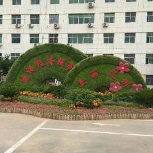 阿兰得龙2018 