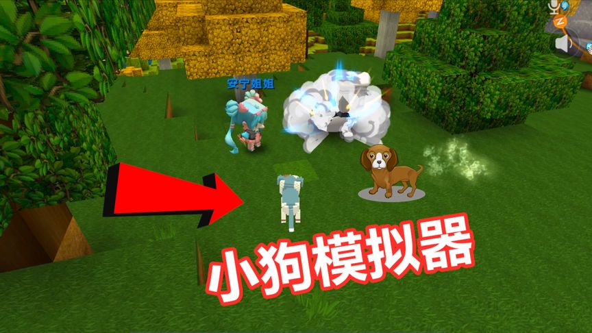 迷你世界:小狗模拟器,被小姐姐领养,最后我救了迷路的她!