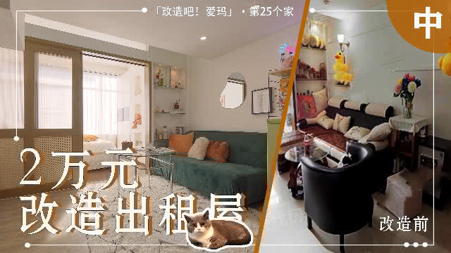 花2万改造55㎡出租屋-中,科技又复古,也太绝了吧?