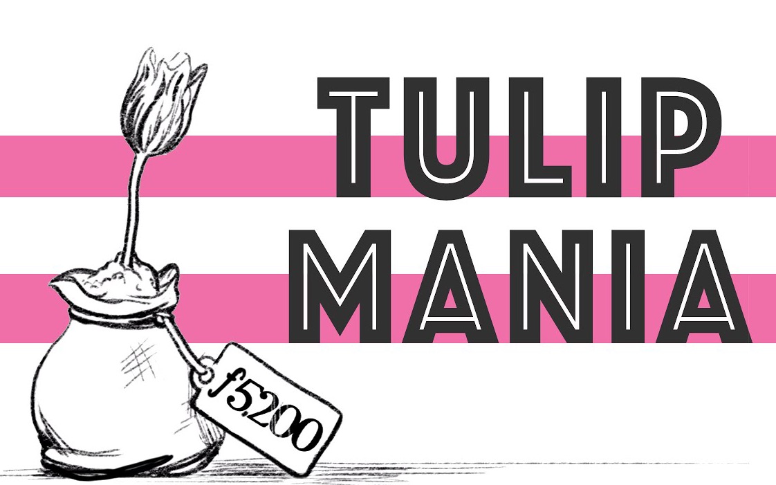 【中英字幕】什么引发经济泡沫