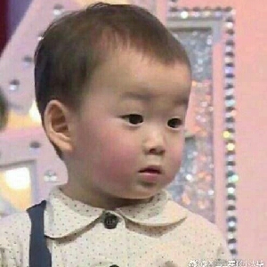老君仔和她的朋友们 